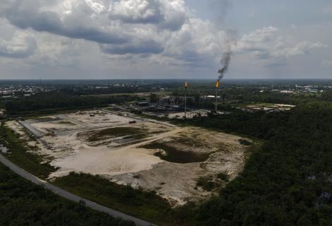 Shell’s net zero climate plans need land up to three times the size of ...