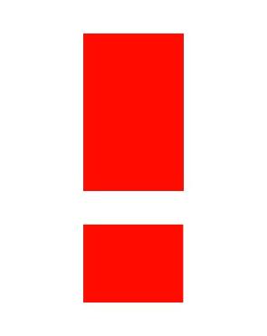 ActionAid International